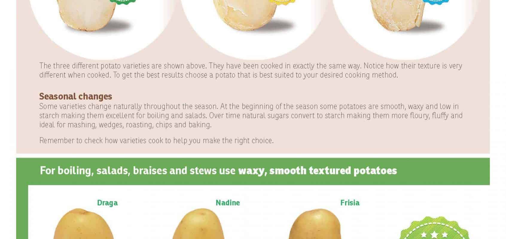 Potato Varieties and Cooking Styles Explained
