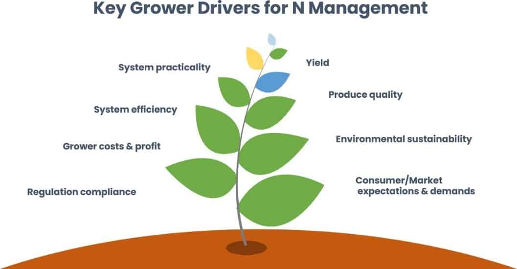 Sustainable Vegetable Systems Update No.6: Understanding grower and agronomist perspectives ...