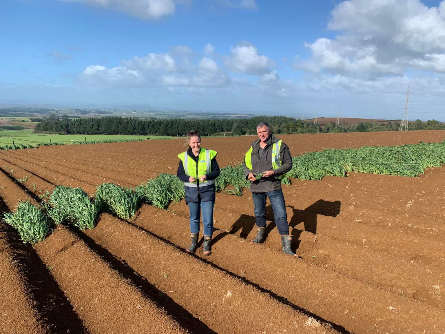 Sustainability Champions: Wilcox Goodness - Potatoes New Zealand