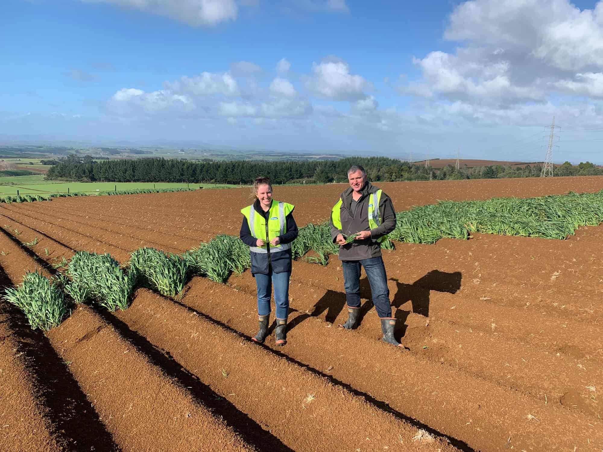 Sustainability Champions: Wilcox Goodness - Potatoes New Zealand