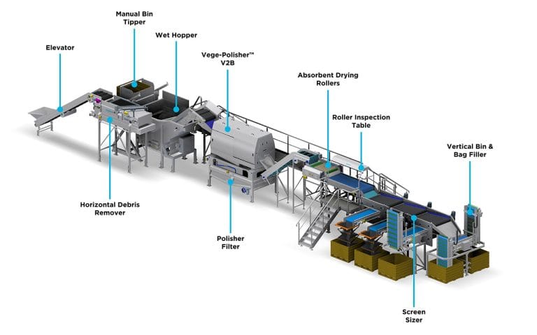 Wyma Solutions: Post-Harvest Equipment Experts