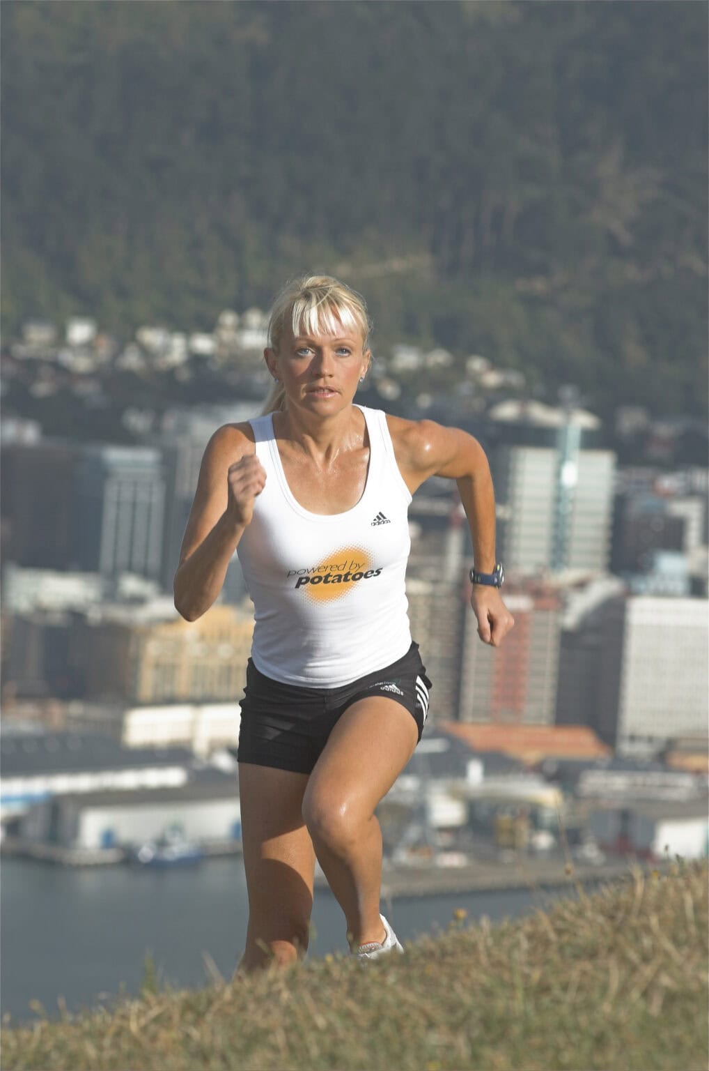 Annual General Meeting 2026 - Potatoes New Zealand